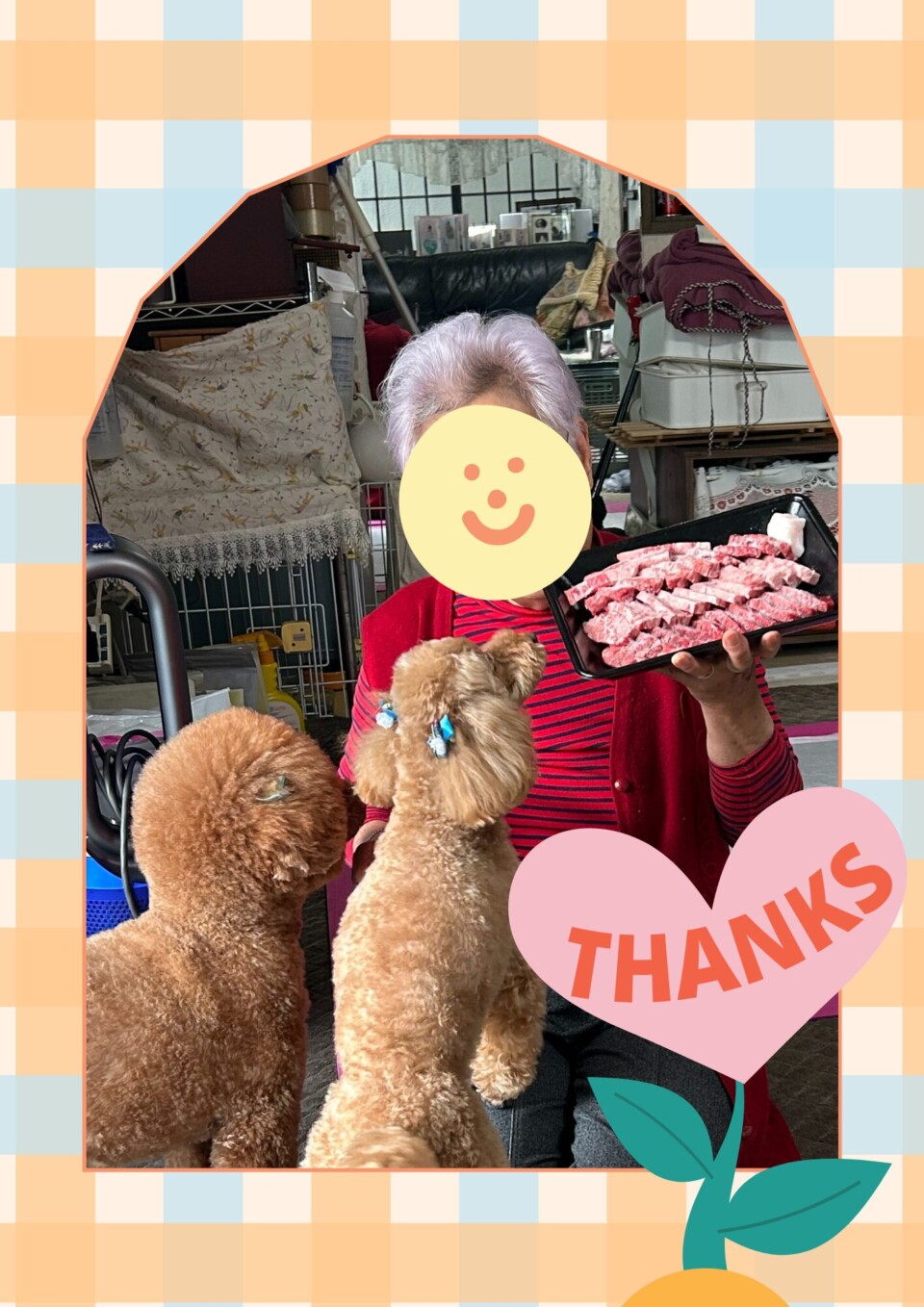 minadia | 株式会社Minadia